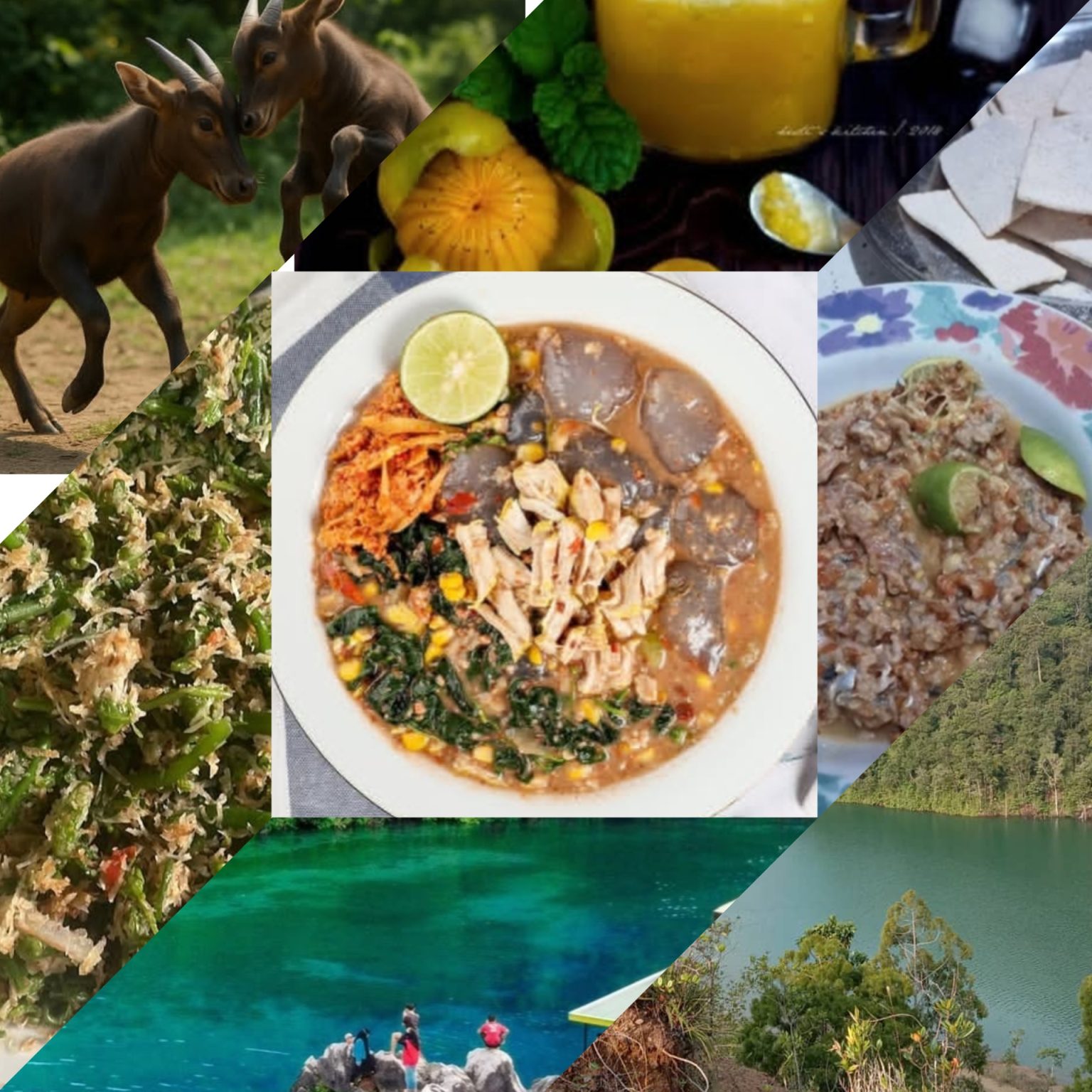 Lima Daya Tarik Luwu Timur Ada Danau Terdalam Hingga Hewan Endemik ...